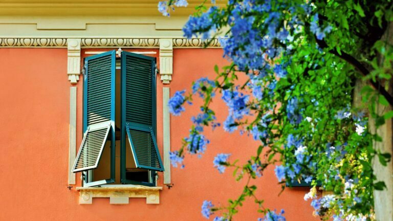 Different Types of Window Coverings and Which to Choose for Your Home ...
